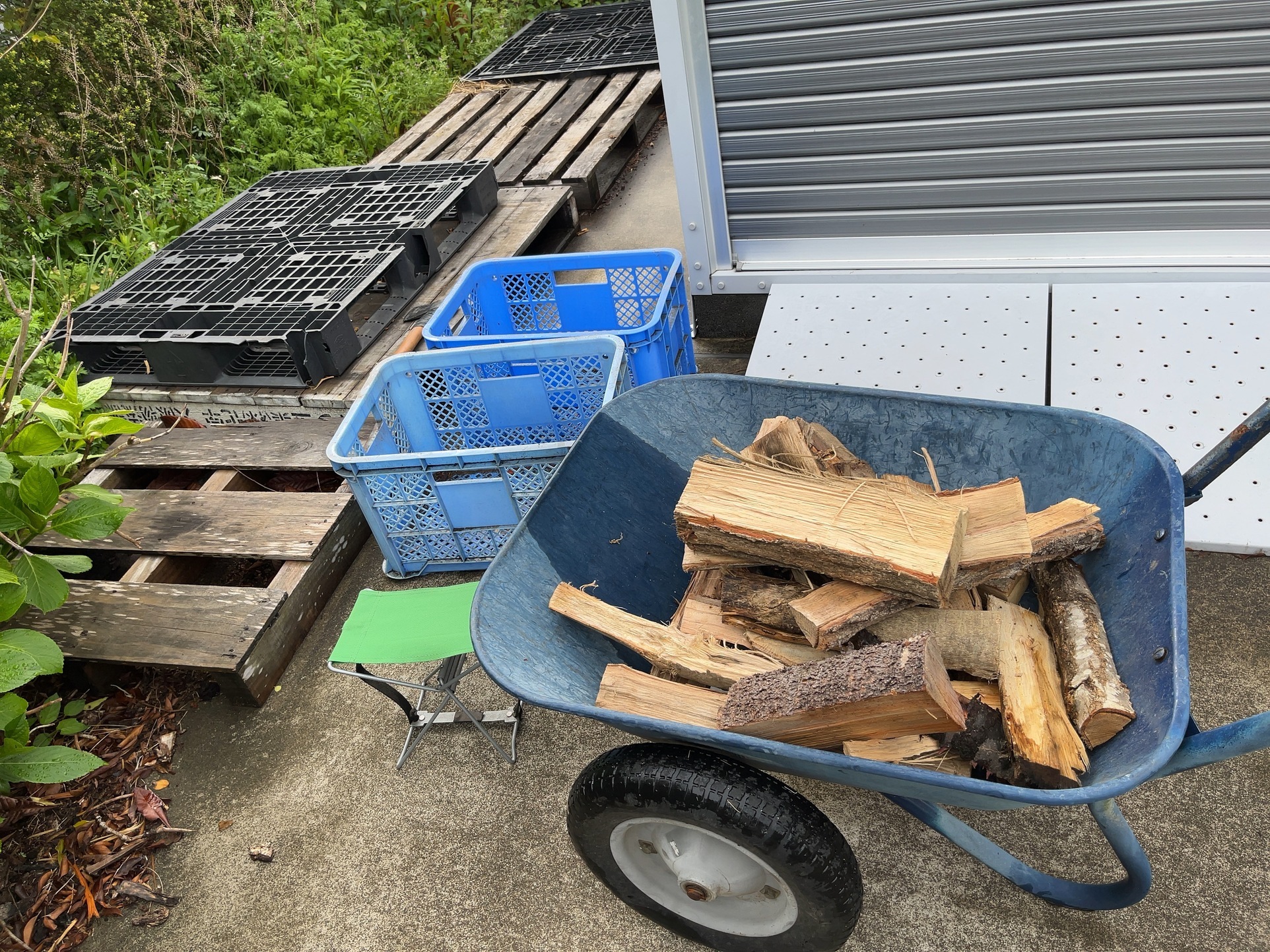 スロースタート？: 日報