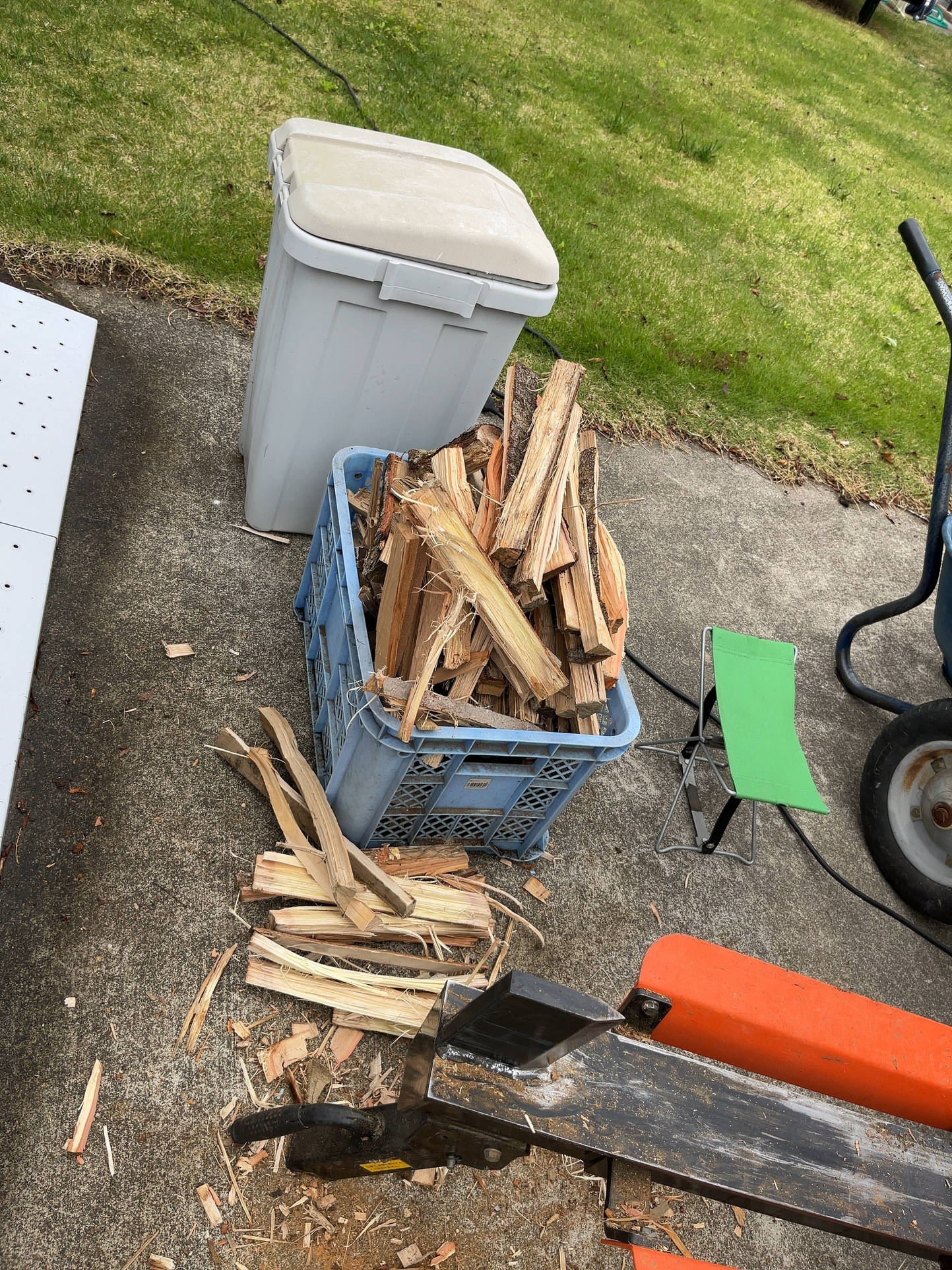 スロースタート？: 日報